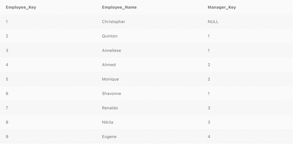 Data Techniques - Ragged Hierarchical Dimensions