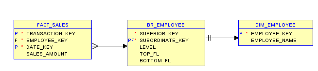 Data Techniques - Ragged Hierarchical Dimensions